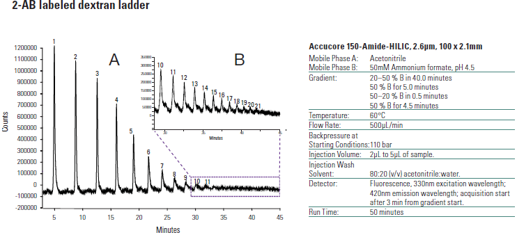 Accucore™ 150 Amide HILIC LC Column