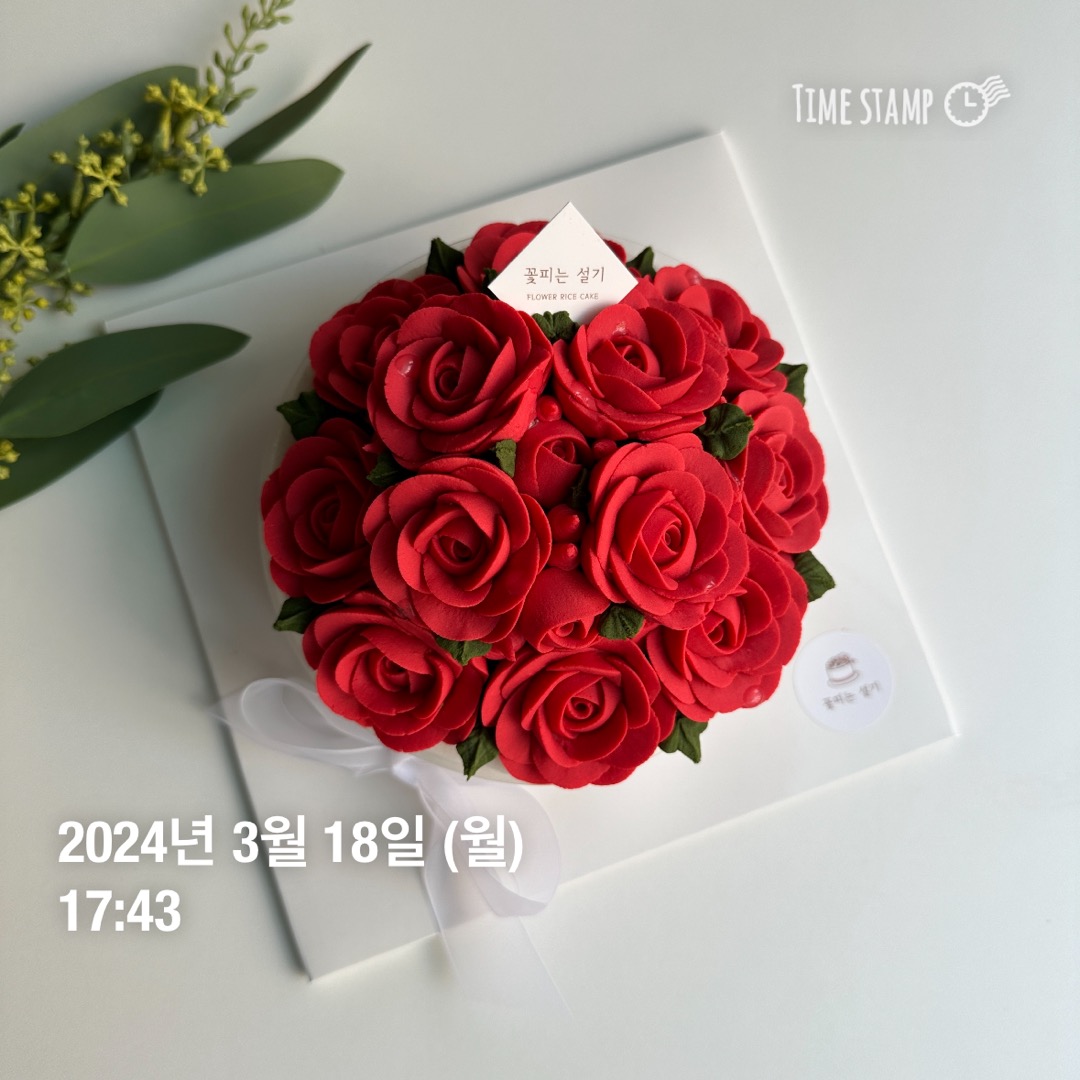 지니 : 한국케이크교육협회 아카데미