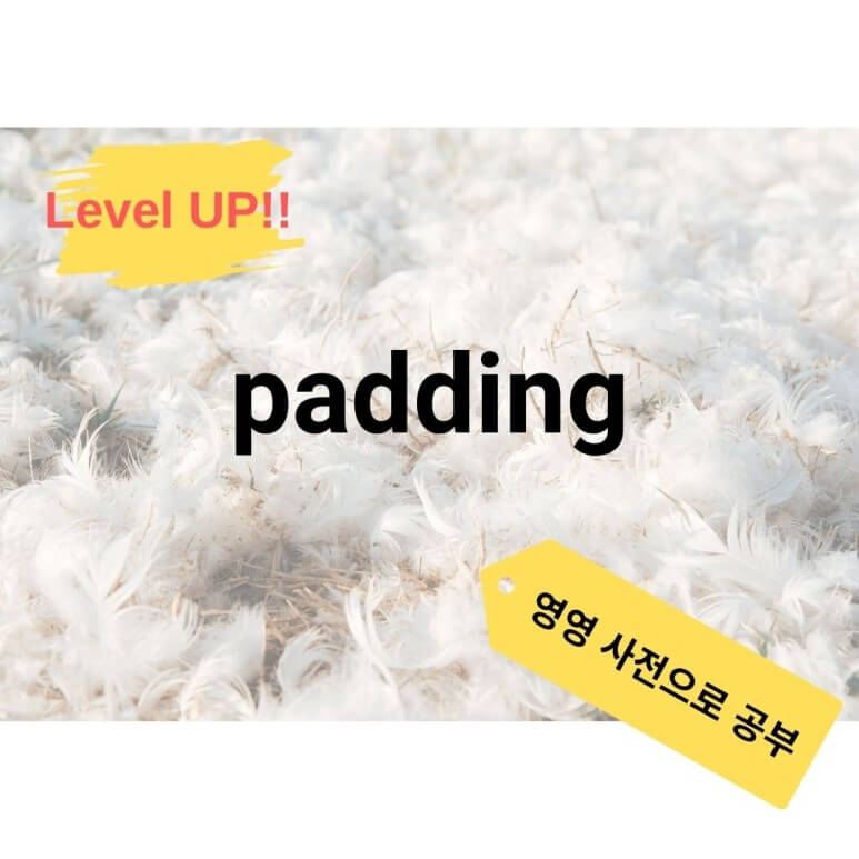 콩글리쉬 🛑 패딩, 롱패딩 영어로 말하기 (padding ) : 영어 표현 노트