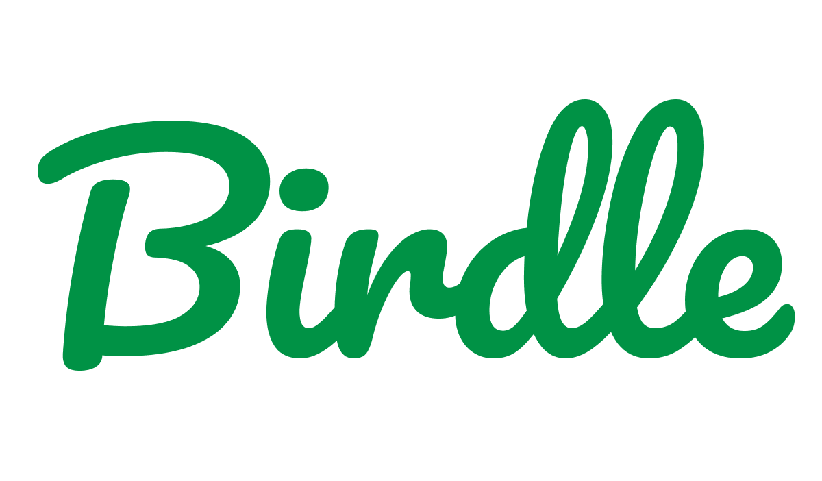 Birdle