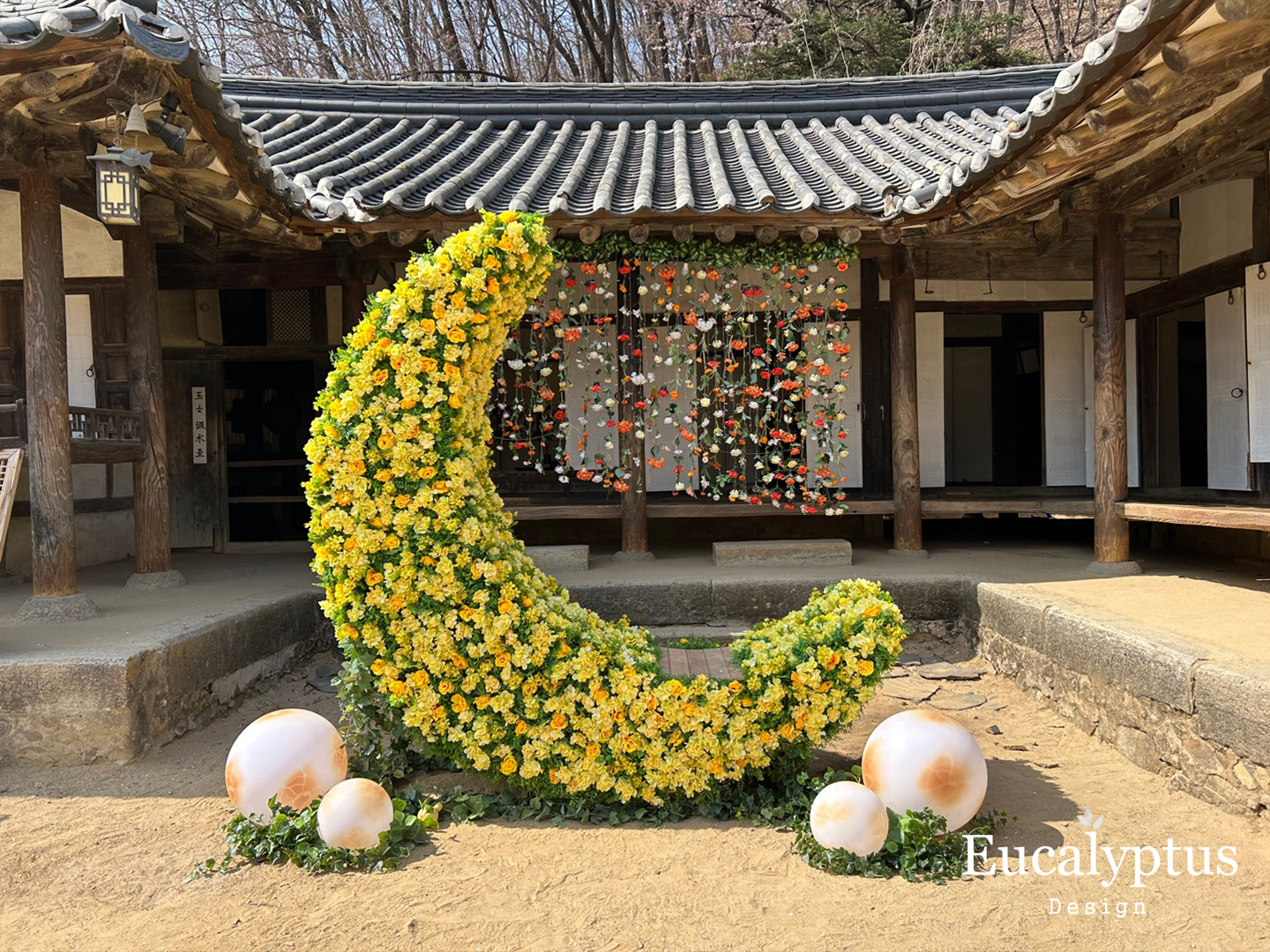 한국민속촌 달조형물 포토존 : 유칼립투스 디자인