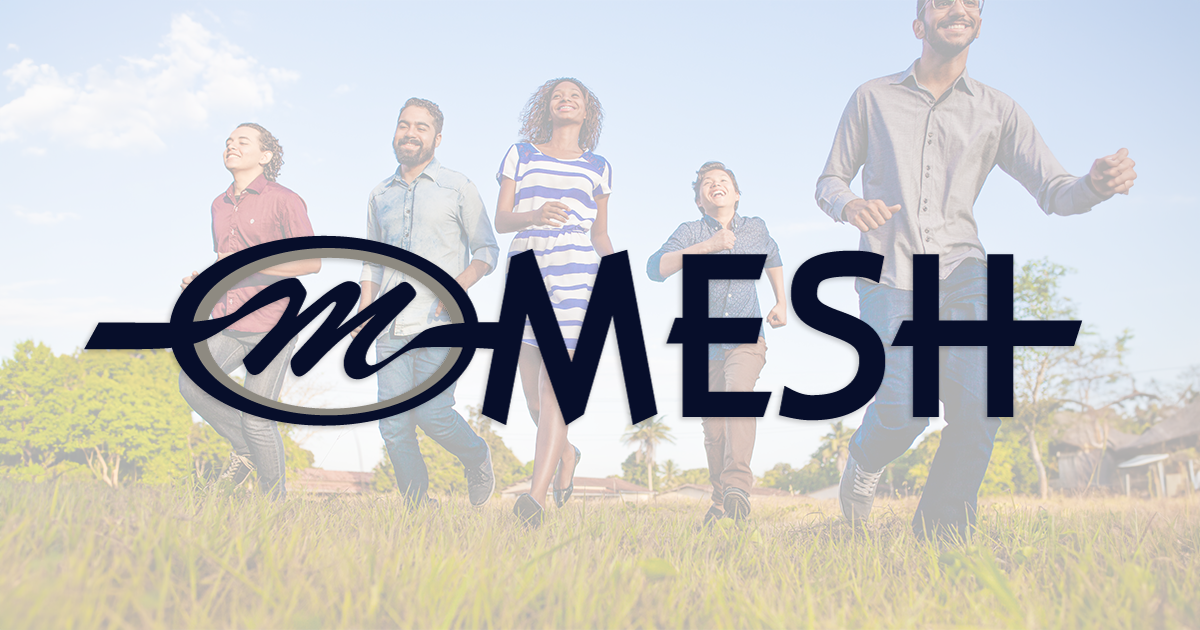 (주)메쉬 - MESH Co.,Ltd.