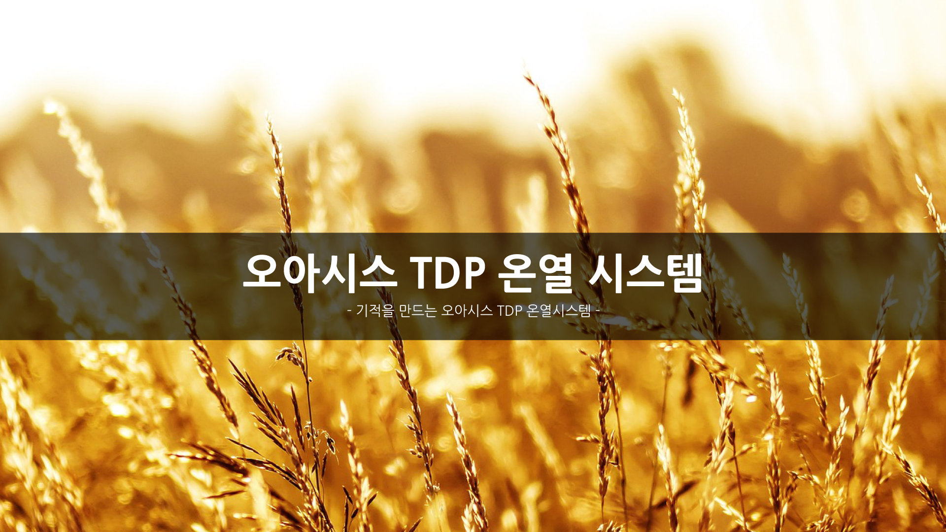 OASIS TDP- Introduce