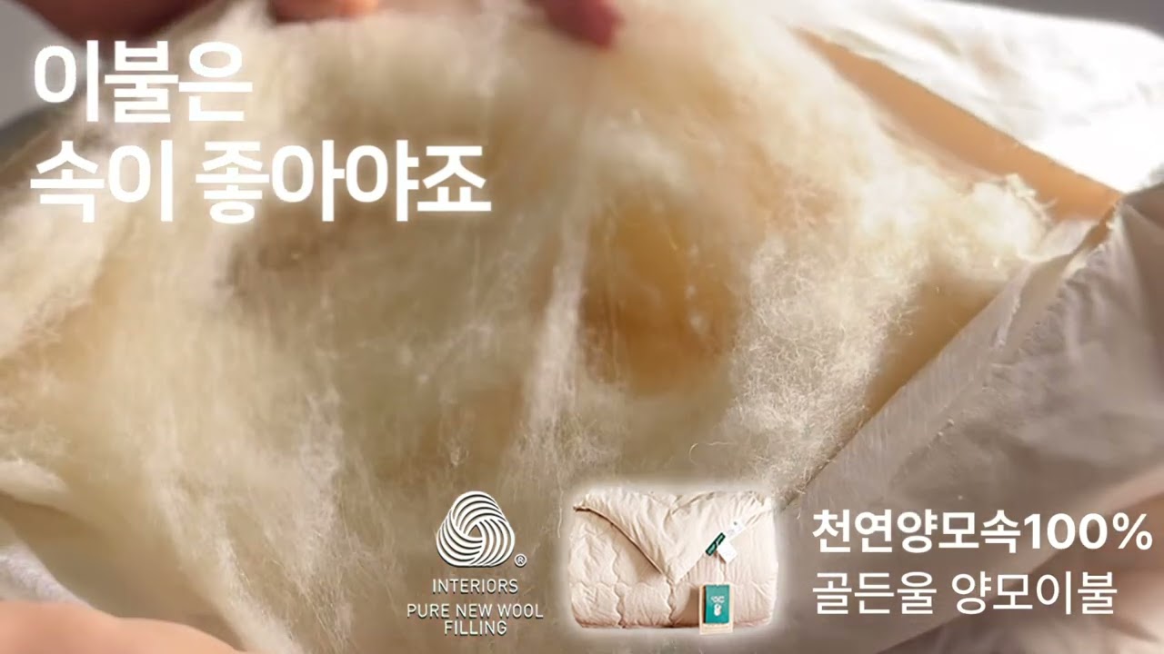 골든울 - Golden Wool®