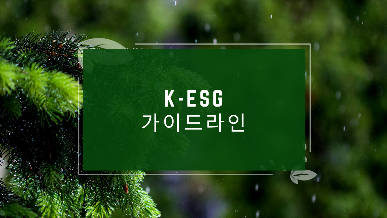 [ESG수출경영]K-ESG 가이드라인 : ESG insight