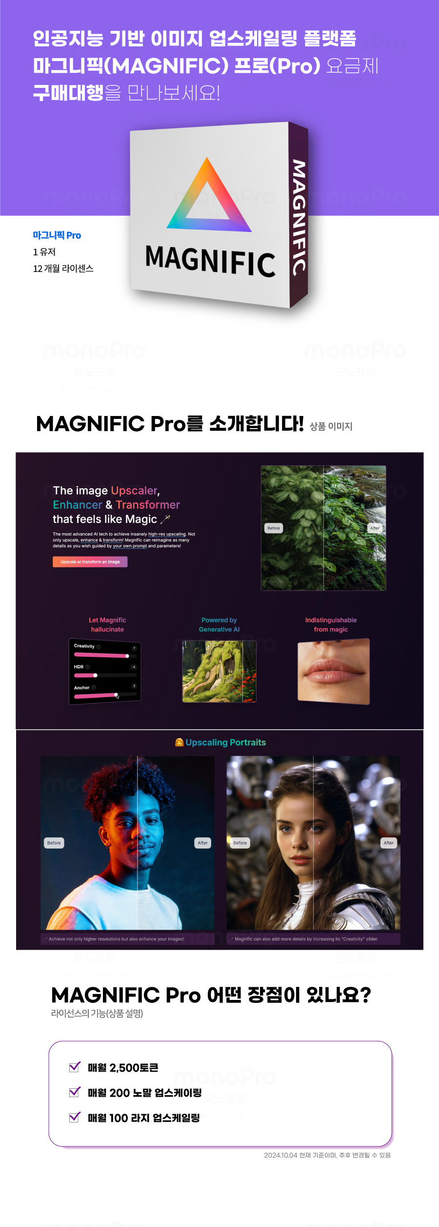 [매그니픽] MAGNIFIC Pro 라이선스 12개월 1유저