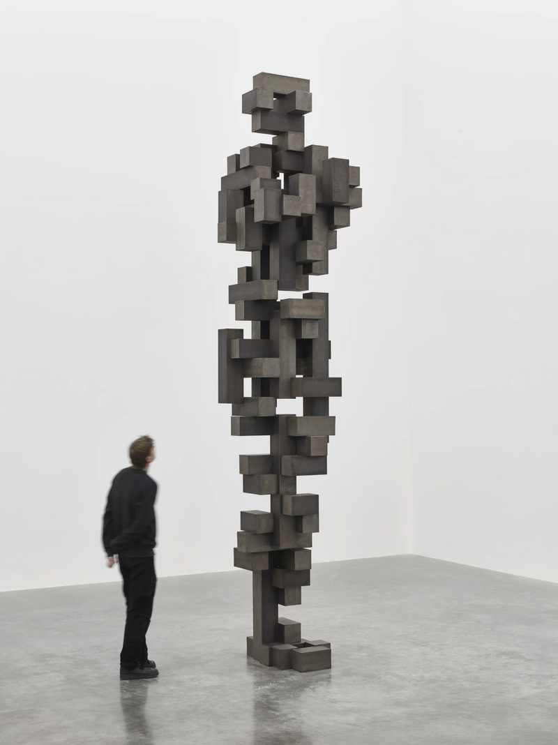 Antony Gormley : Library
