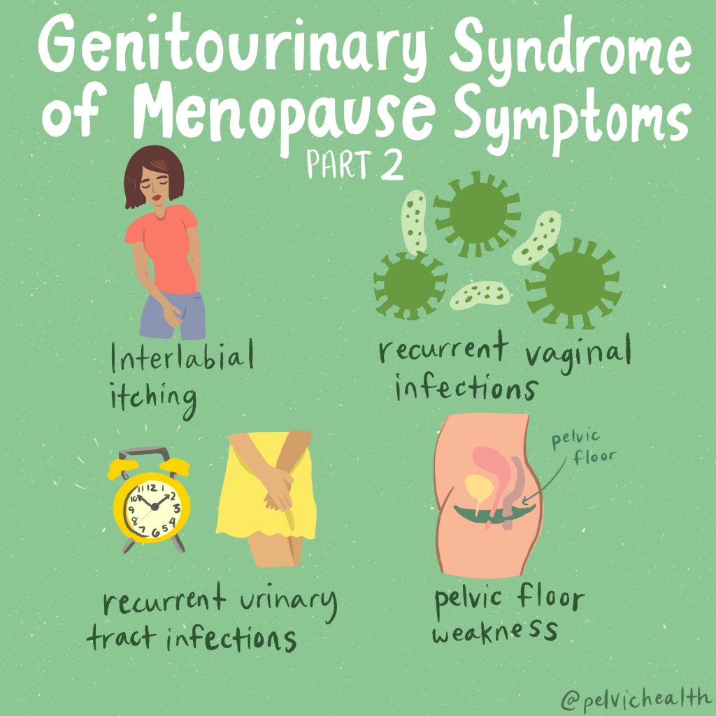 폐경기 비뇨생식기 증후군(Genitourinary Syndrome of Menopause; GSM); 골반저근의 역할은요? : Blog