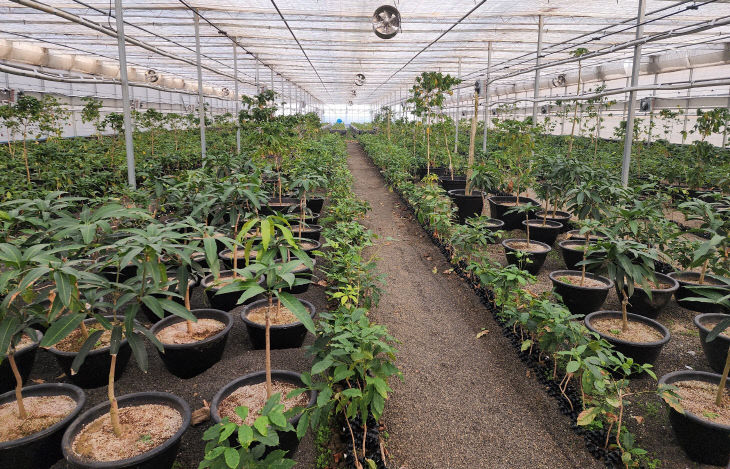 난방비 50% 이상 뚝…획기적 난방시스템 떴다 : papayasystem