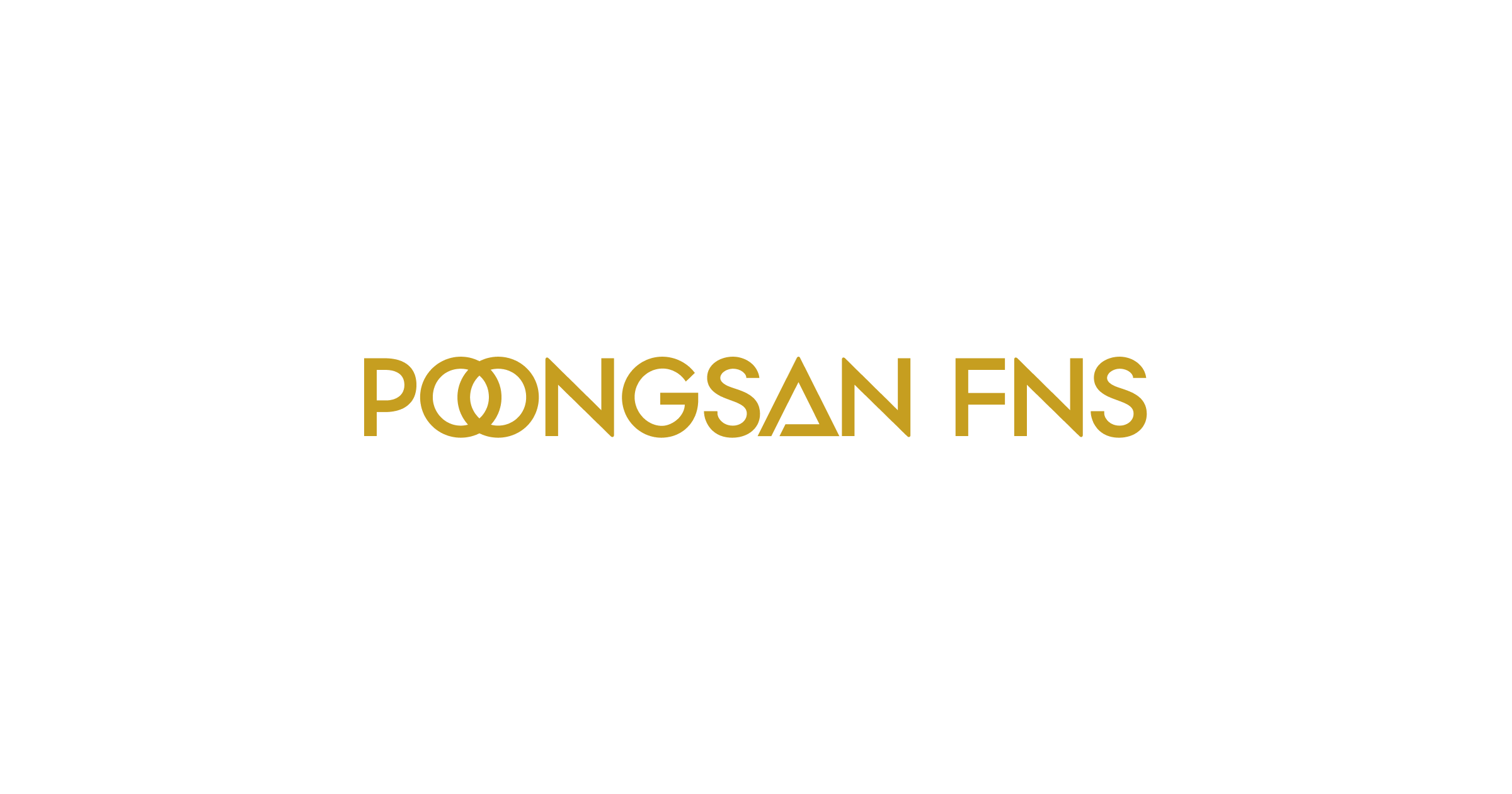 POONGSAN FNS