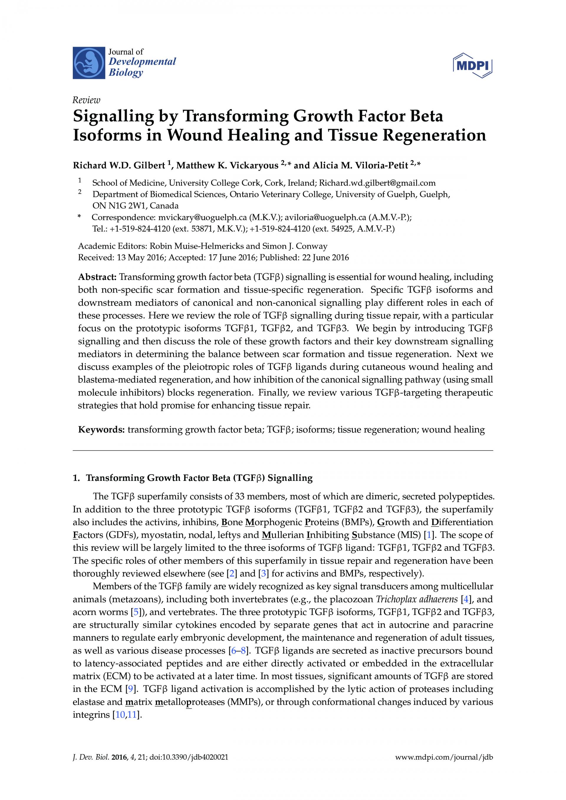 Transforming Growth Factor Beta's Role in Wound Healing and Tissue Regeneration : 노바스템 - 줄기세포와 ...
