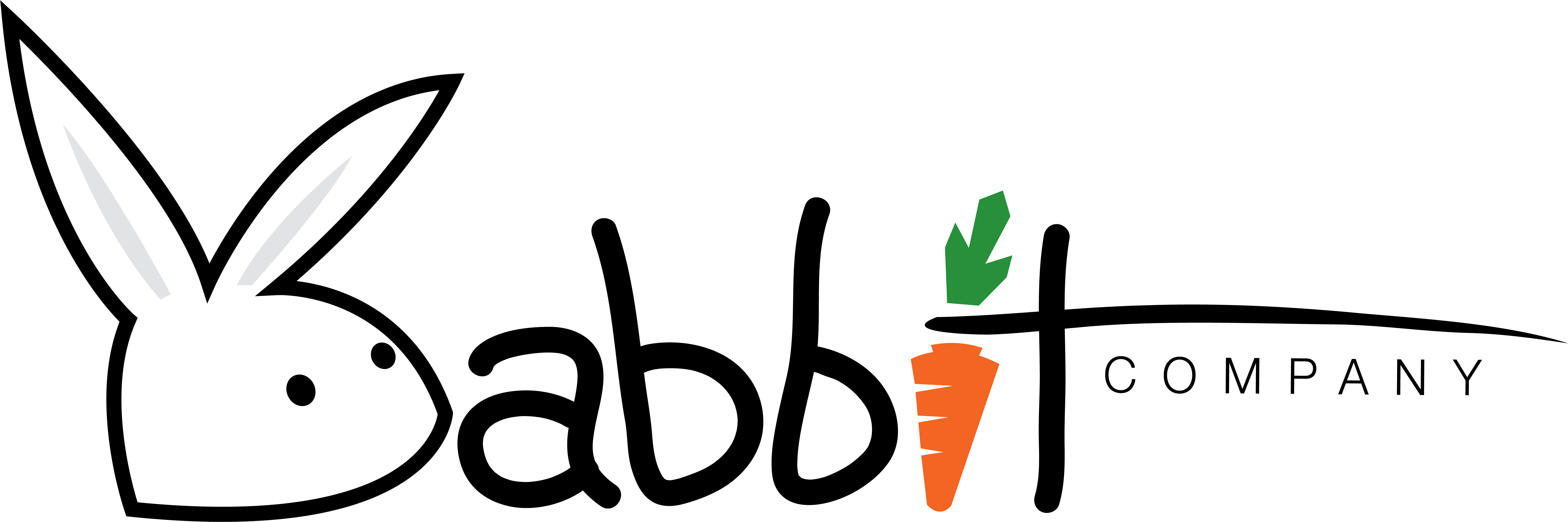 Rabbitcompany rabbitcompany