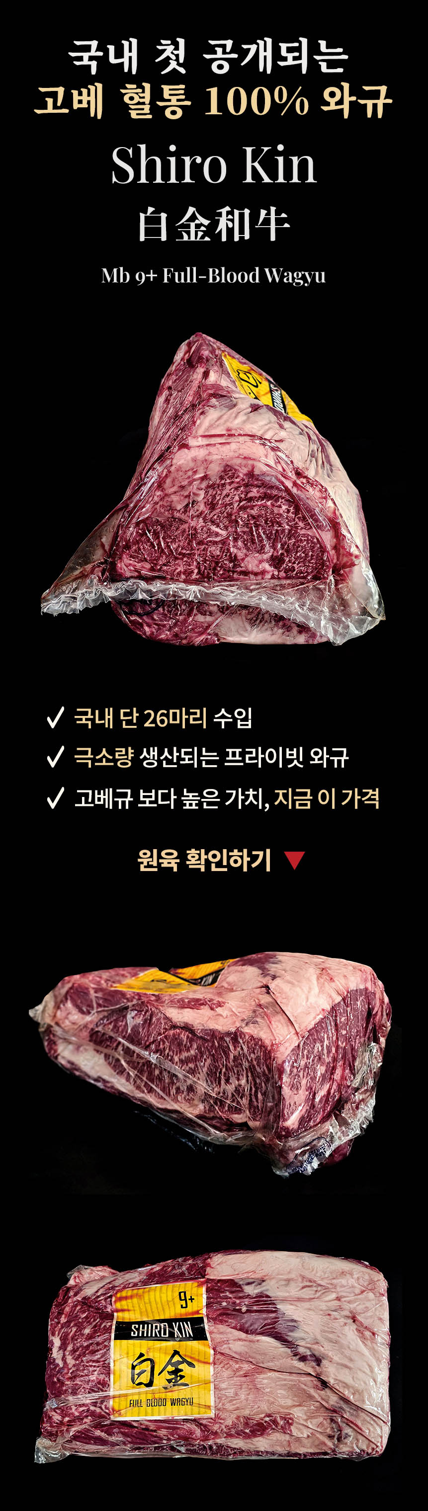 순종 와규 MB9+ 윗등심 : 아트컷-ART CUT