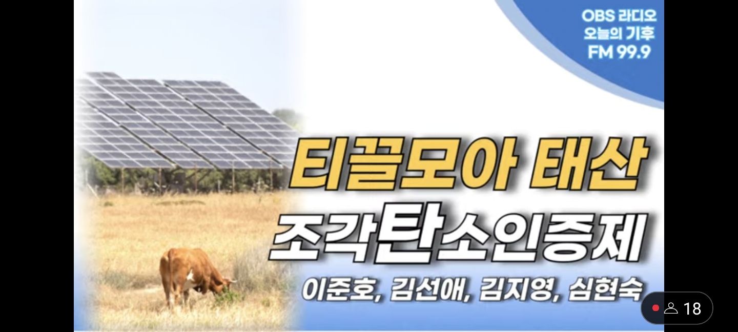 OBS 라디오에서 듣는다. 조각탄소인증 MCI : SDX Foundation