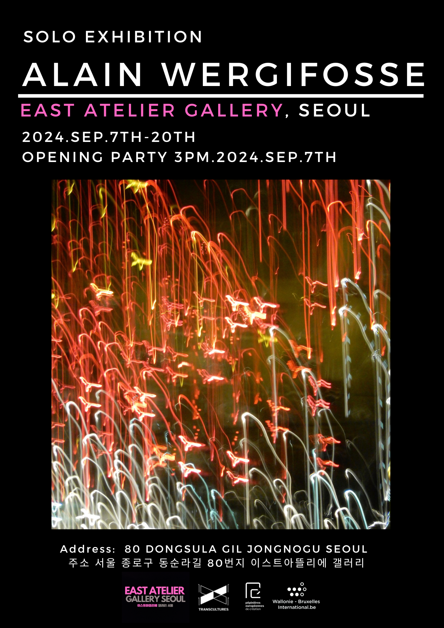 Alain Wergifosse Solo Exhibition : EAMA