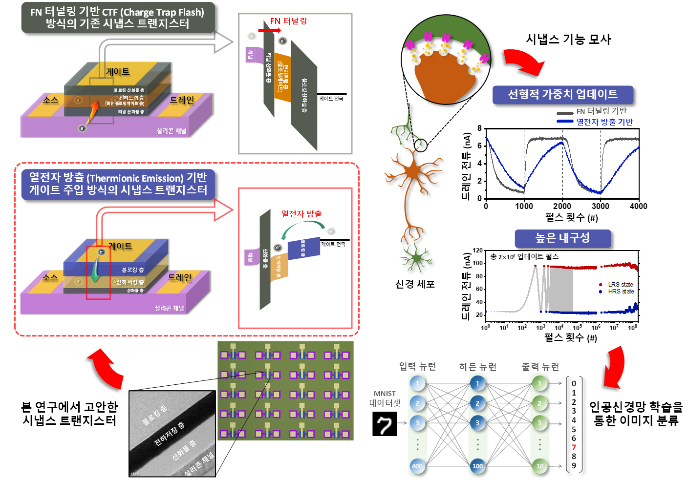 Introduced to the media : ENTIS | KAIST