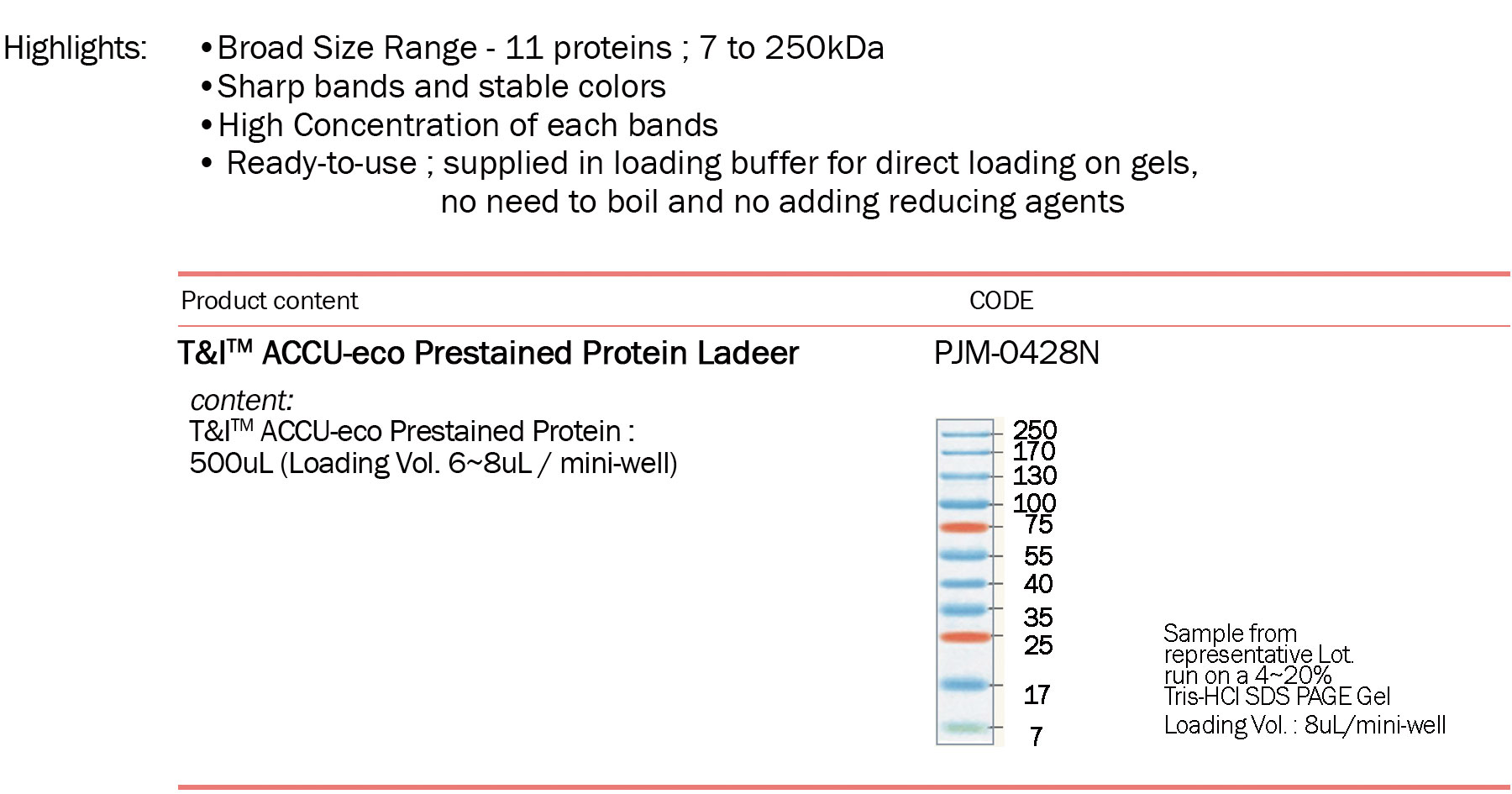 ACCU-eco Prestained Protein Ladder : 조아랩(JoaLab)