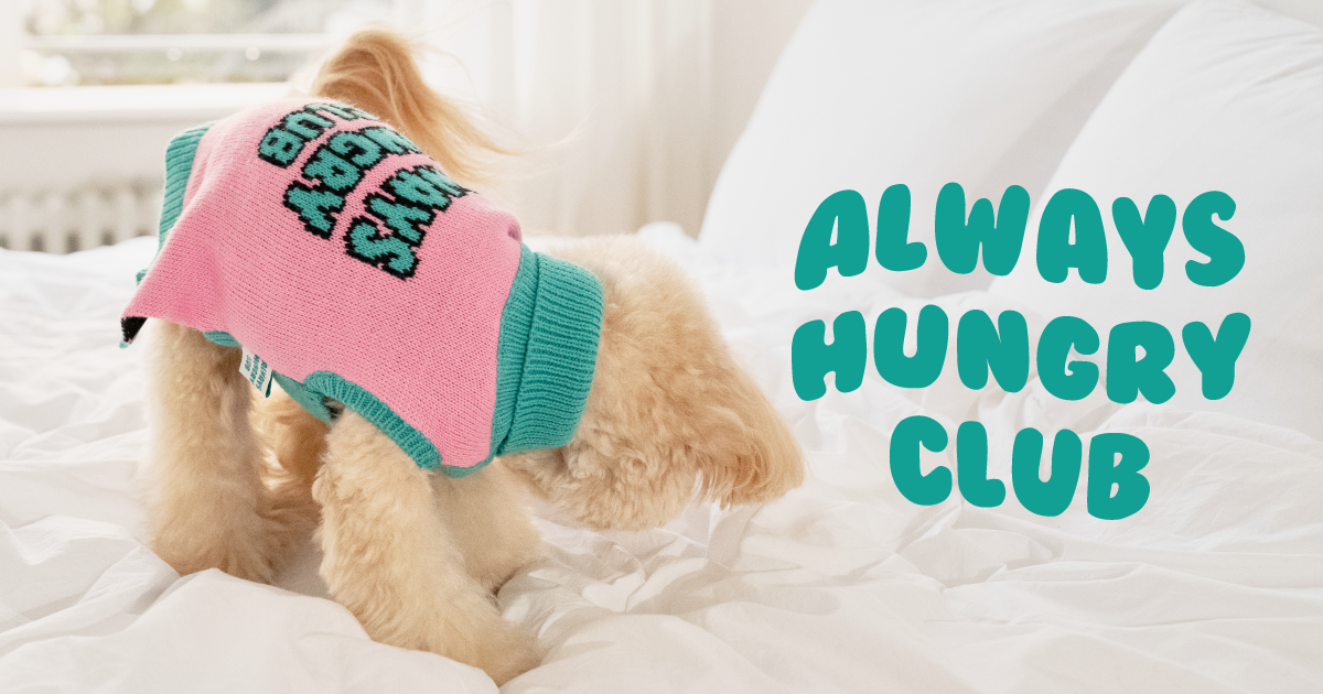 올웨이즈헝그리클럽