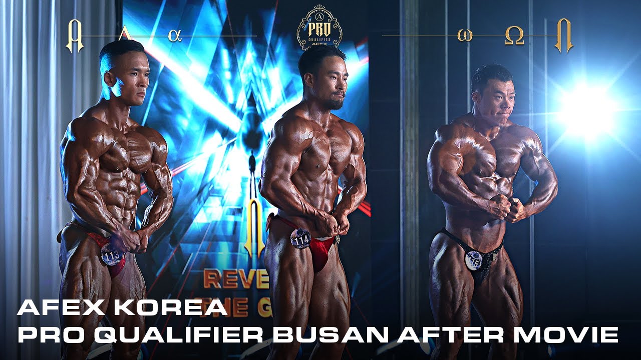 에이펙스코리아 | AFEX 피트니스 대회, 보디빌딩·피지크·클래식·비키니·스포츠모델