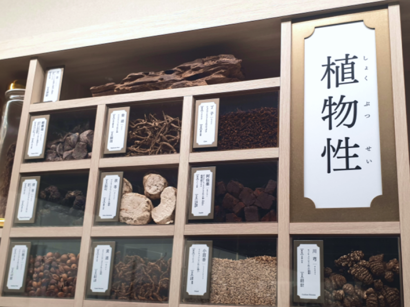 28호(8) - 일본 나카토미 약 기념관 참관 : 사단법인 천수산약초연구회