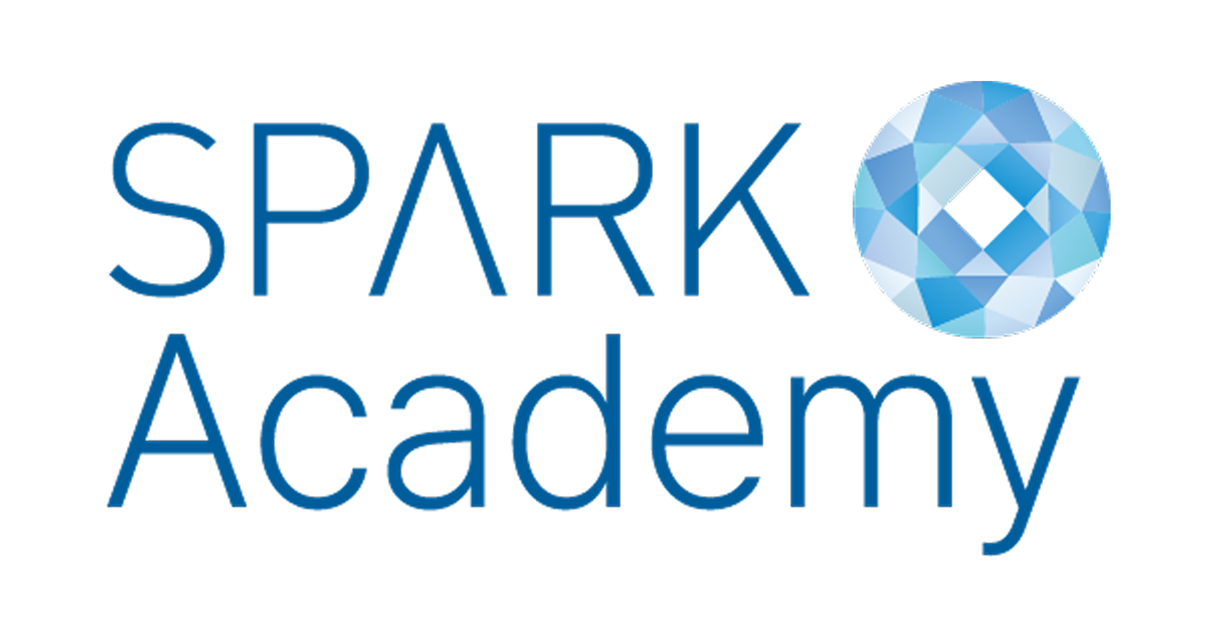 SPARK ACADEMY KPOP CONCERT PRODUCING