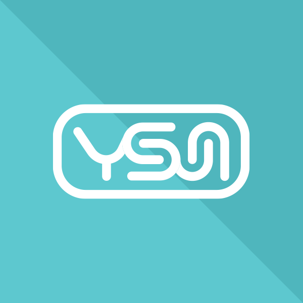 와이에스엔(YSN)