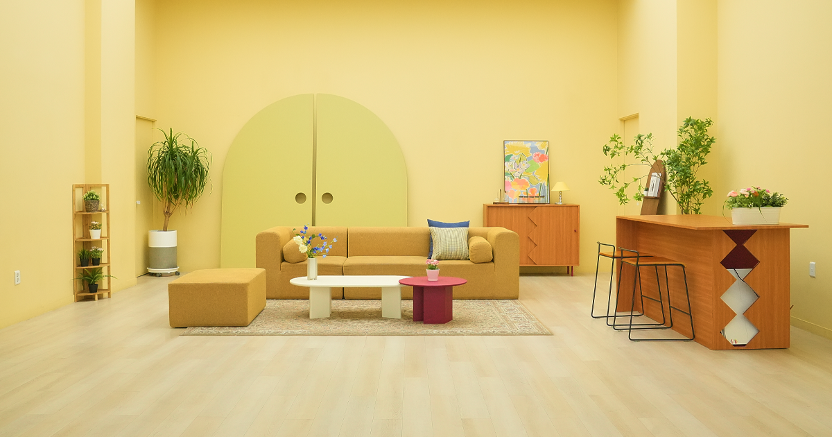 매드독 스튜디오 Mad dog studio