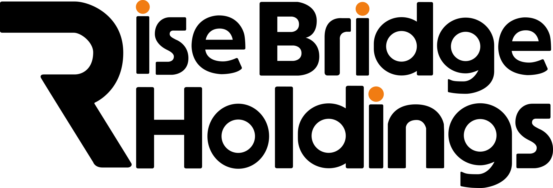 Rise Bridge Holding