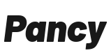 pancy 펜시
