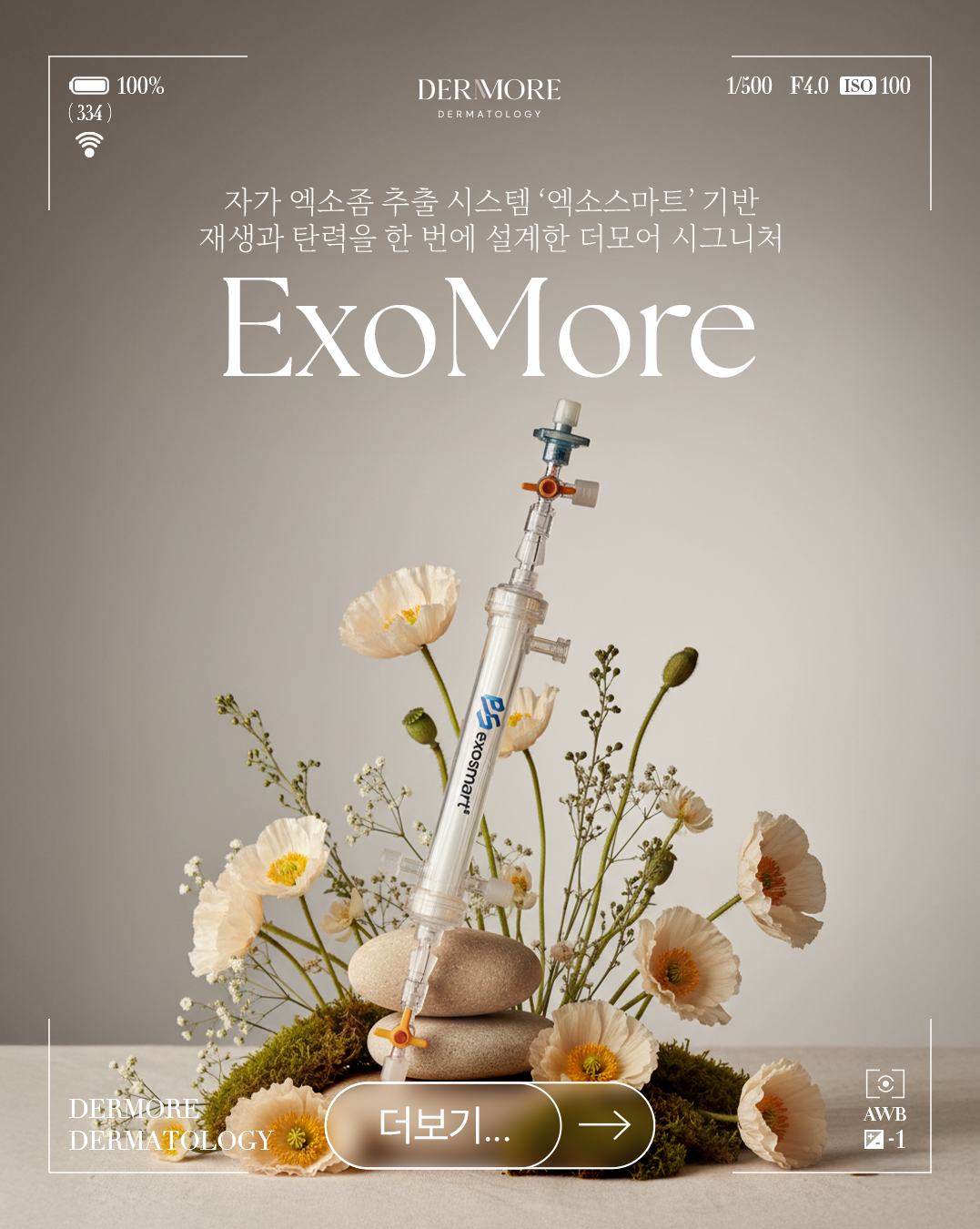 더모어피부과의원